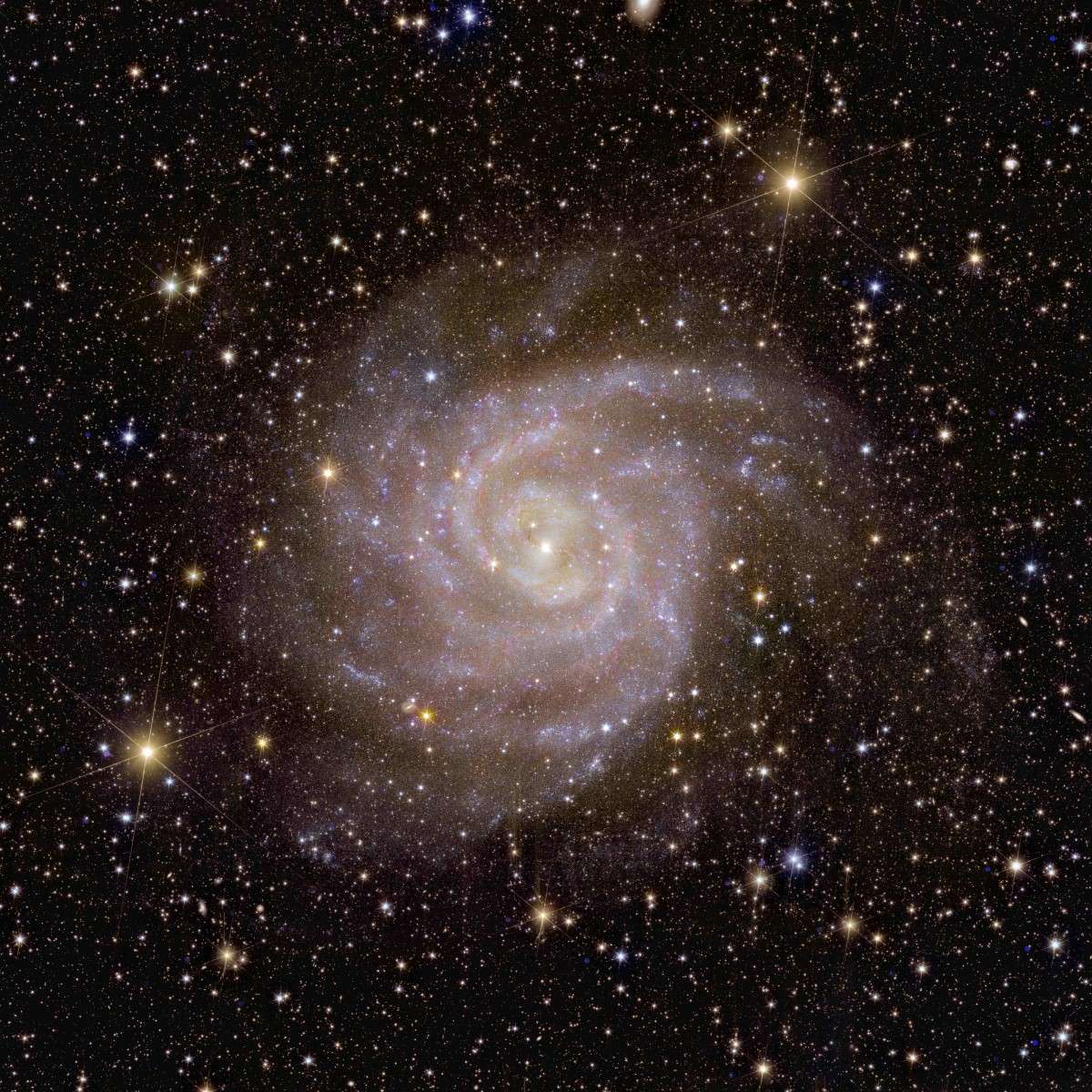 CERN software to look at the cosmos | CERN